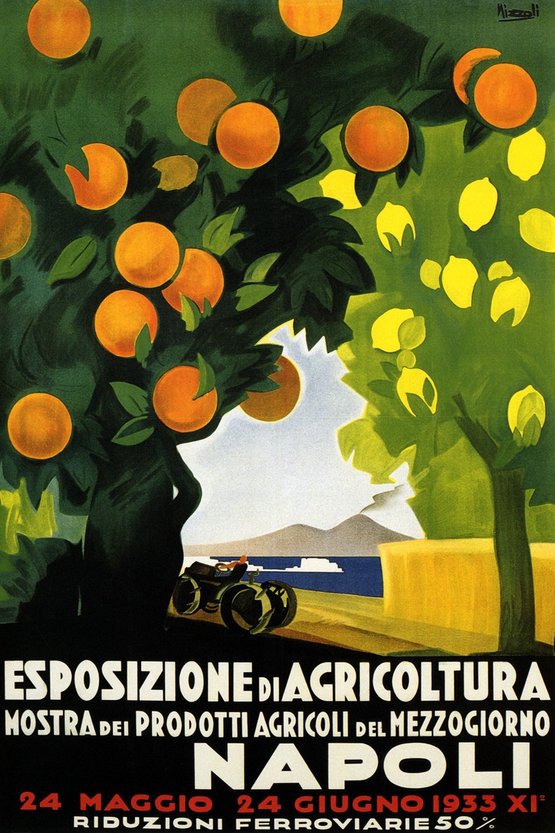 Napoli Naples Oranges Farm Agriculture Exposition Mount Vesuvius ...