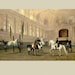 Cat Veterinarian Vet Cheron Lady Cats and Dogs Paris France French ...
