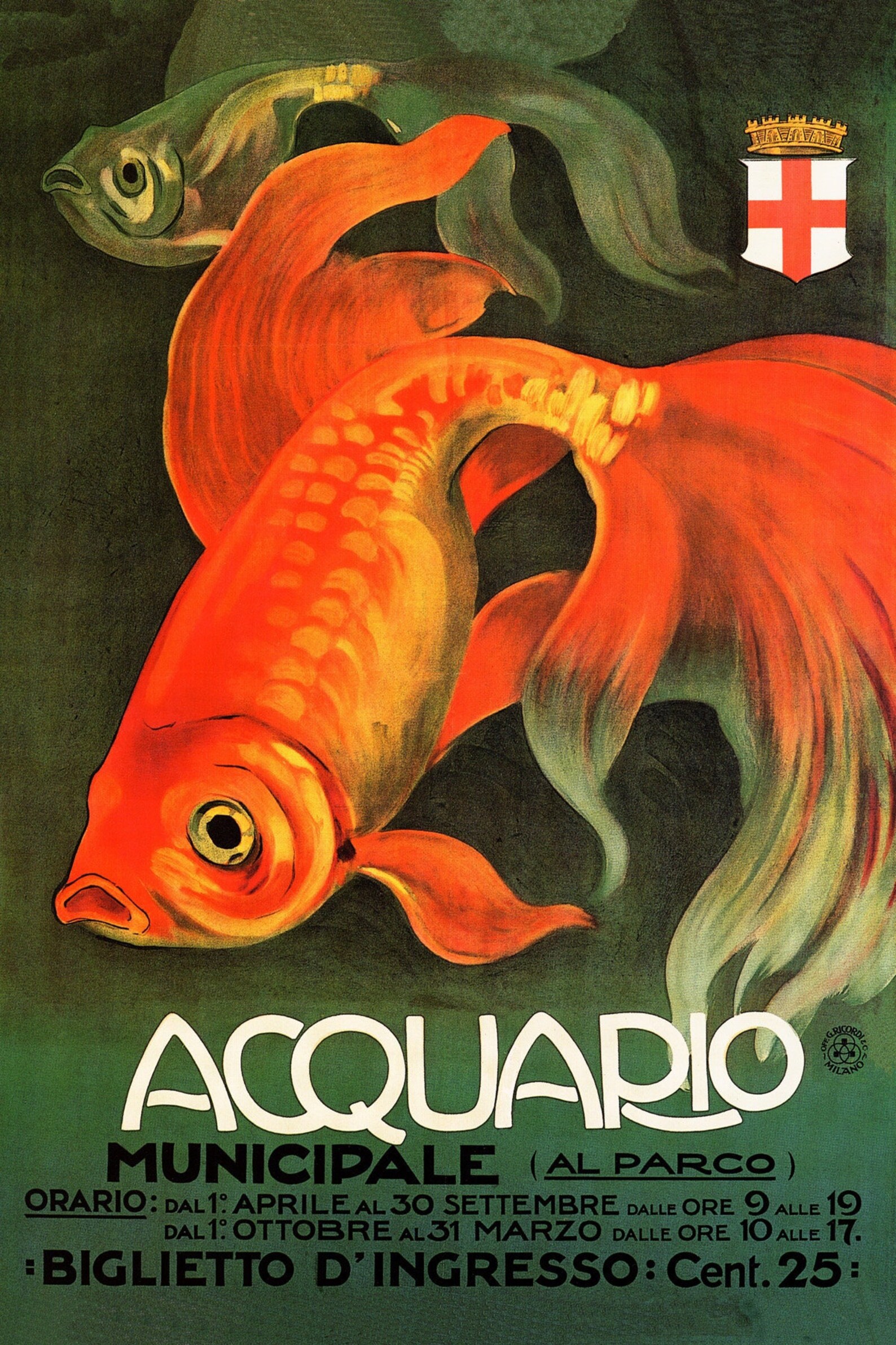 Aquarium Acquario Municipale Al Parco Italy Golden Fish Goldfish Italy ...