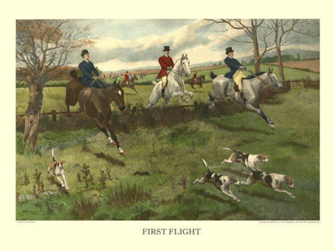 Horse First Flight Fox Hunting Scene Dogs English Art Poster Repro on ...