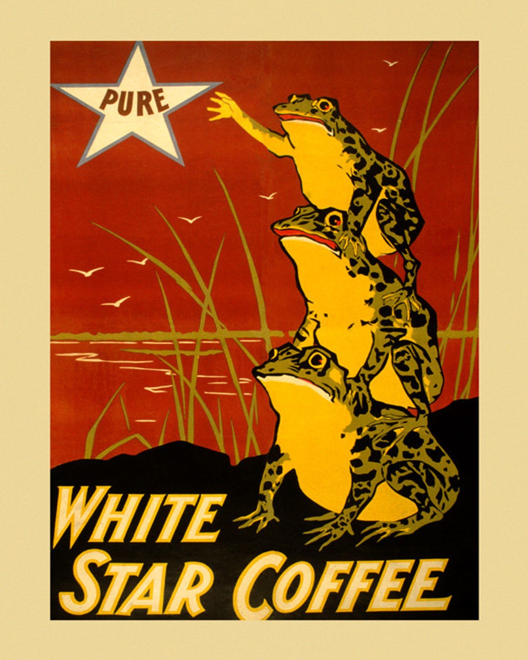 Coffee 16" X 20" Frogs Lake River Pure White Star Cafe Drink Vintage ...