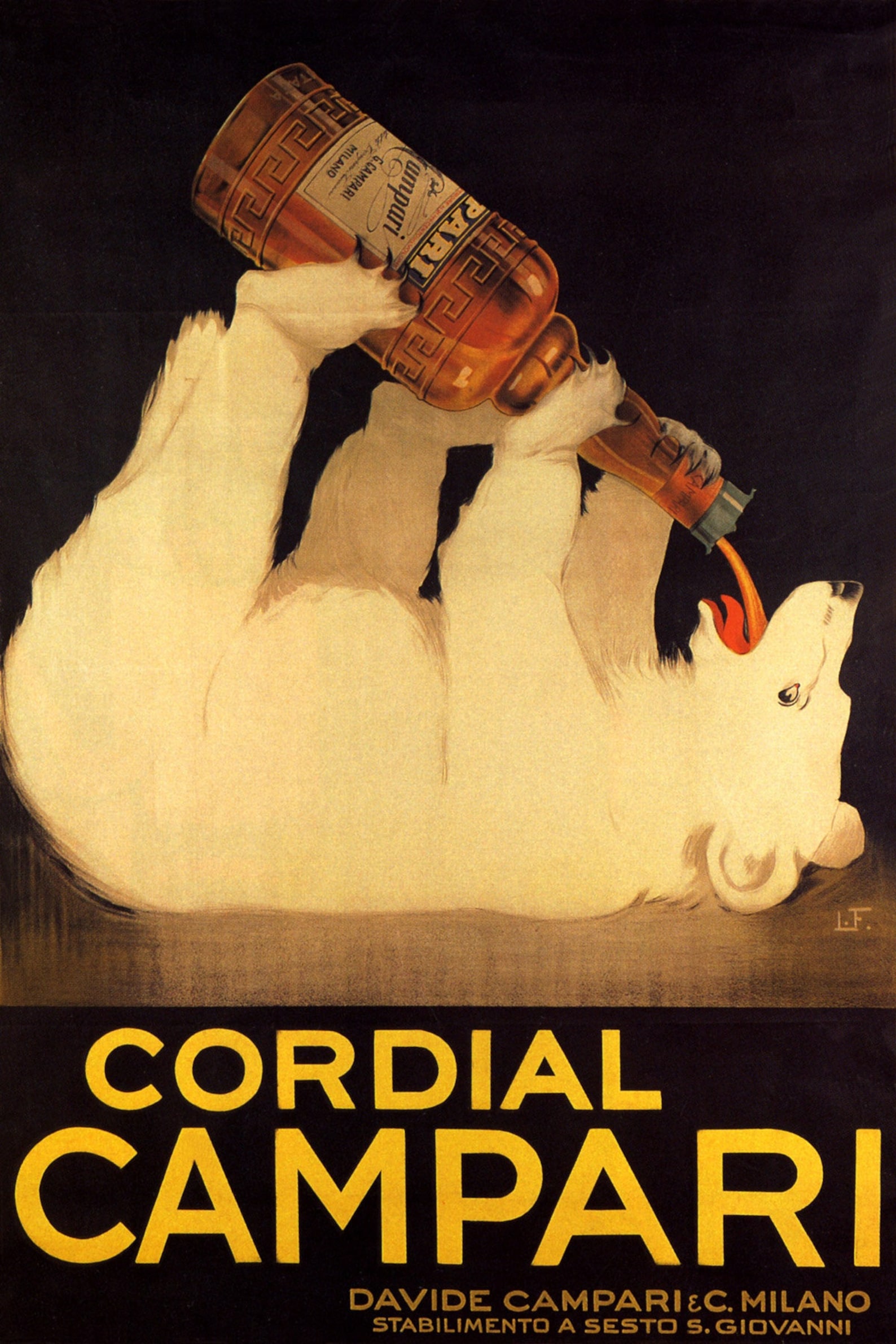 White Bear Drinking Cordial Campari Big Alcoholic Liqueur Italy Italian ...