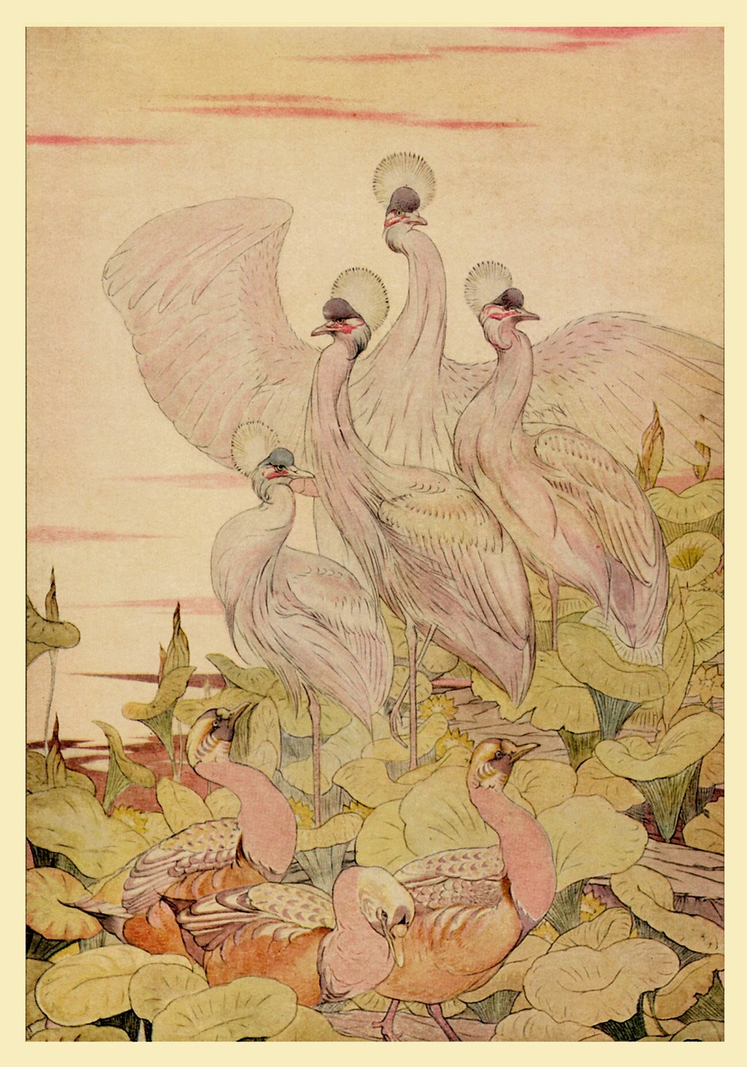 Poster the Fables of Aesop the Geese and the Cranes Birds Children Book ...