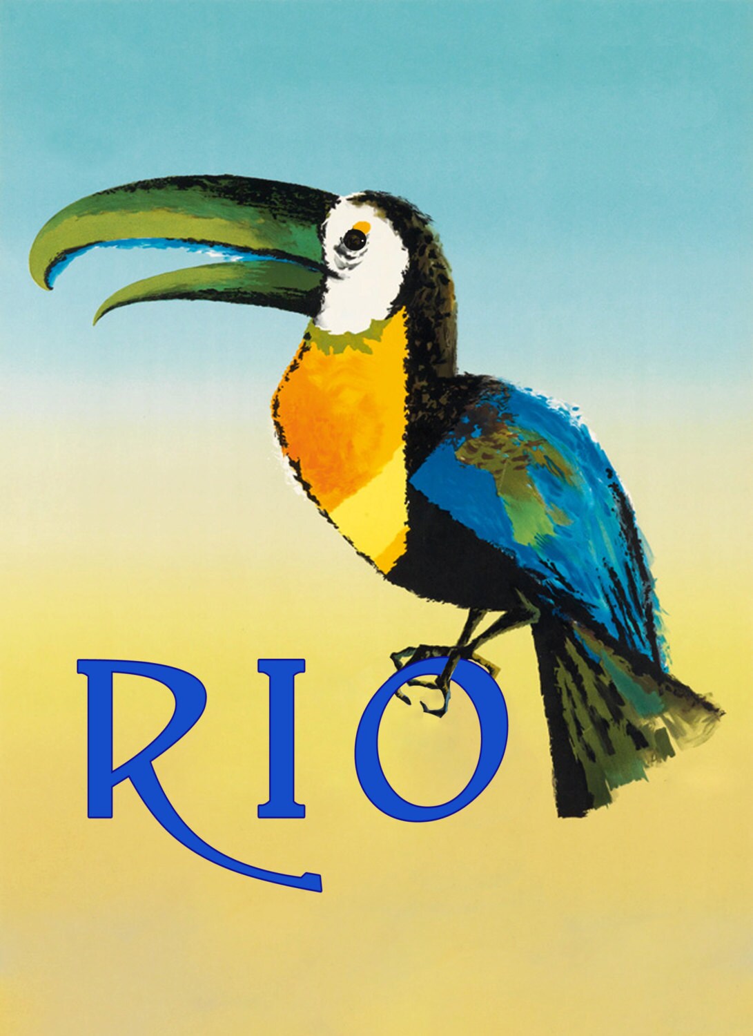 Brazil Toucan Bird Rio de Janeiro Amazon Bird Travel Tourism | Etsy