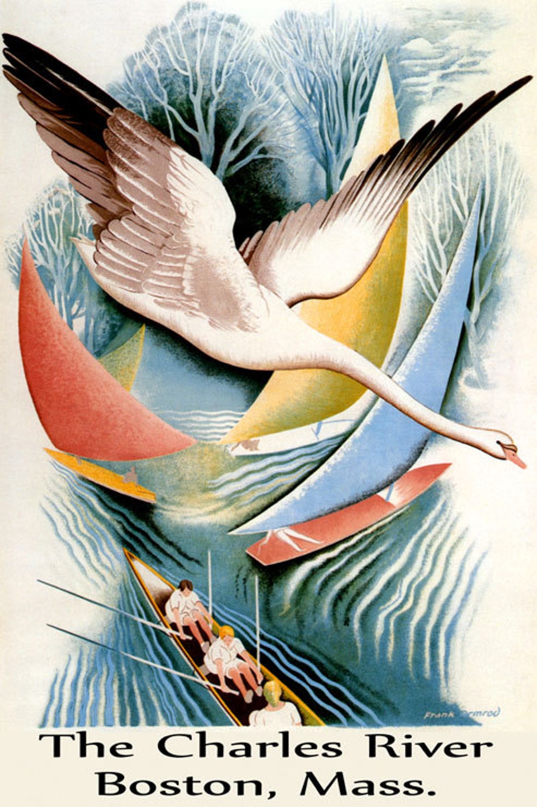 Boston Charles River Rowing Boat Bird Mute Swan Flying Usa Travel ...