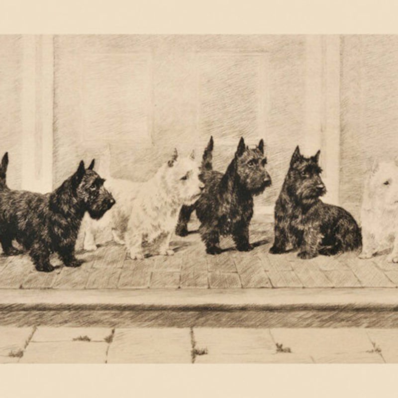 Scottie Dog Print - Etsy