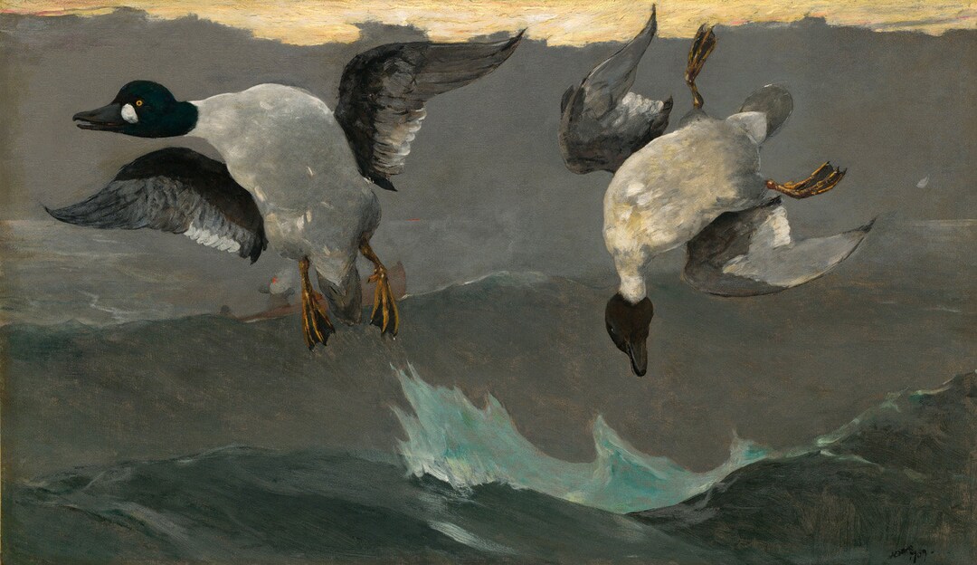 Right and Left Birds Ocean Sea Beaches Amazing Quality Painting by ...