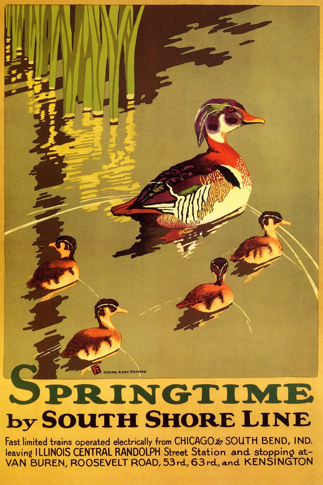 Duck Springtime Spring Lake South Shore Line Chicago Vacation City ...