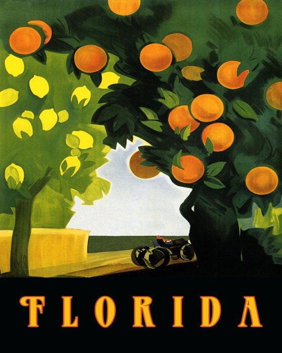 Florida Orange Farm Fruit Sunshine American Usa Food 16" X 20" Vintage ...