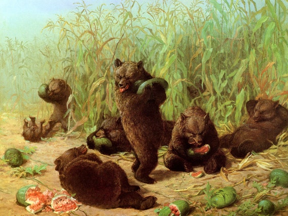 Bears Bear Eat Eating Watermelon Art Forest and Wildlife Great - Etsy