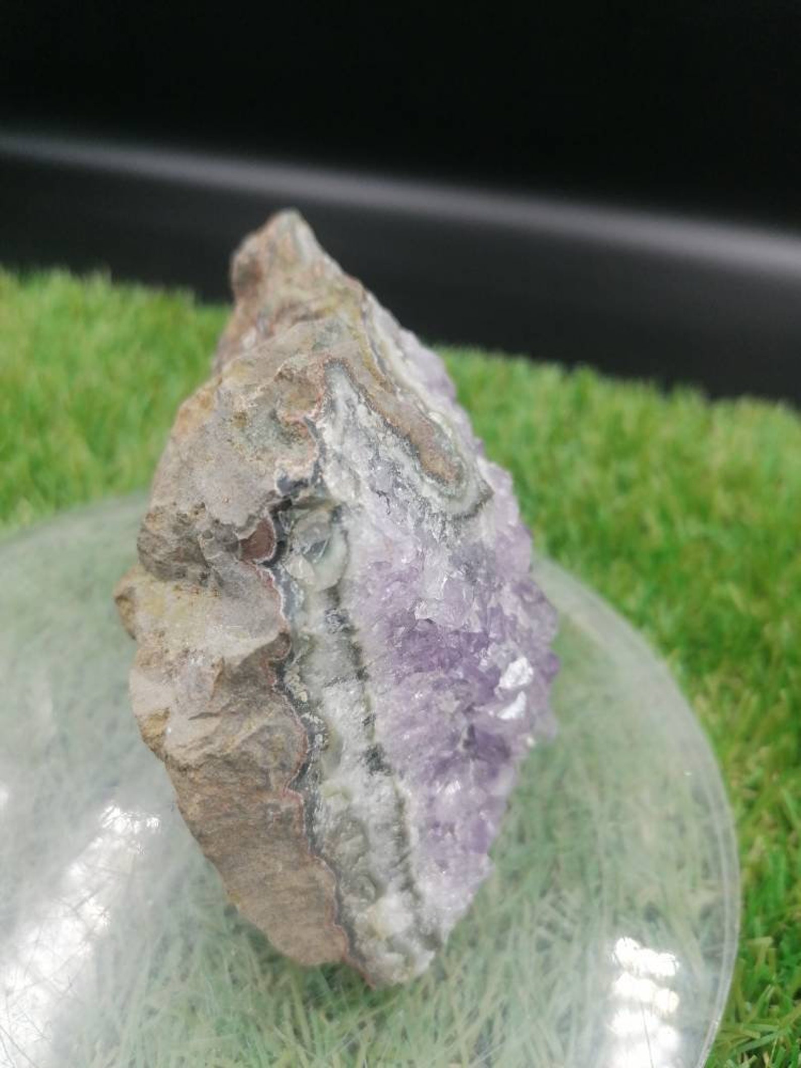 Top Natural Crystal Cactus Amethyst Collection Speciment | Etsy