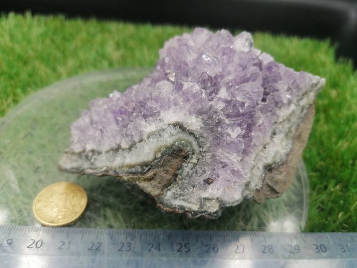 Top Natural Crystal Cactus Amethyst Collection Speciment | Etsy