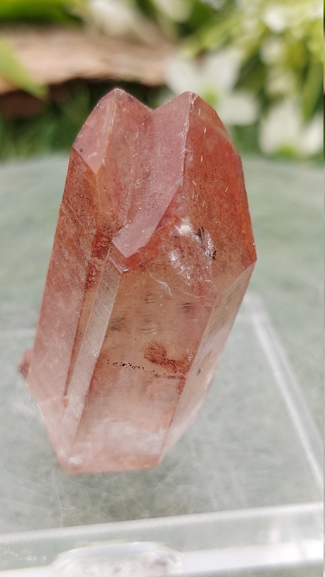 RARE Red Quartz Dendrites With Hematite Oxidation EST.1968 - FROM ...