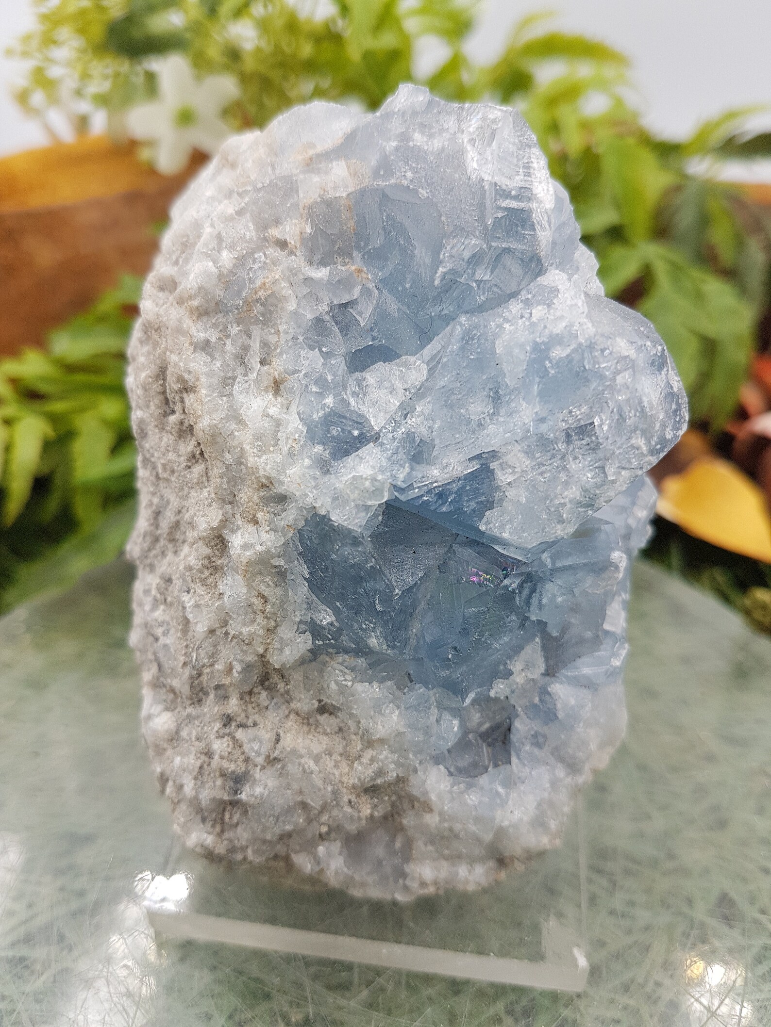RARE Celestite Rough Mineral With HEALING and PROTECTIVE - Etsy Australia