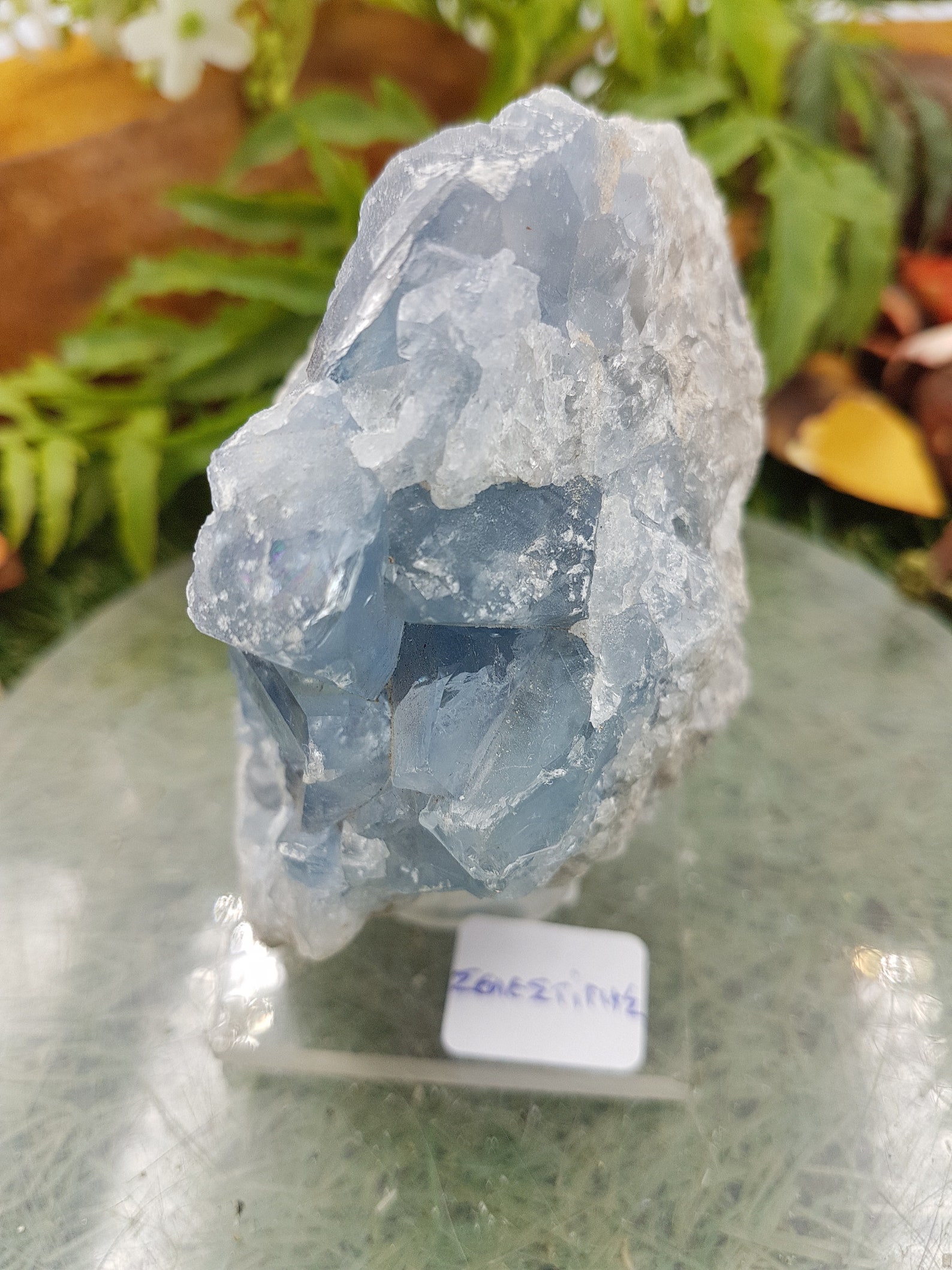 RARE Celestite Rough Mineral With HEALING and PROTECTIVE - Etsy Australia