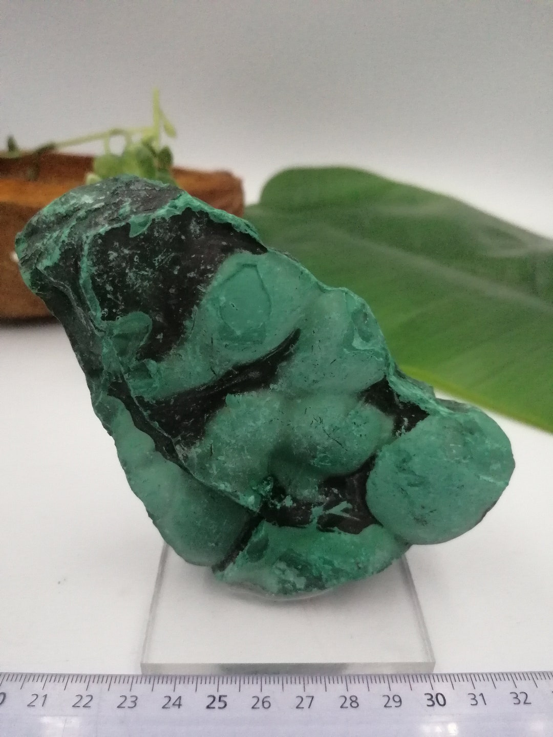 Malachite Botryoid Crystal – Rare Kongo Mineral Specimen, Natural ...