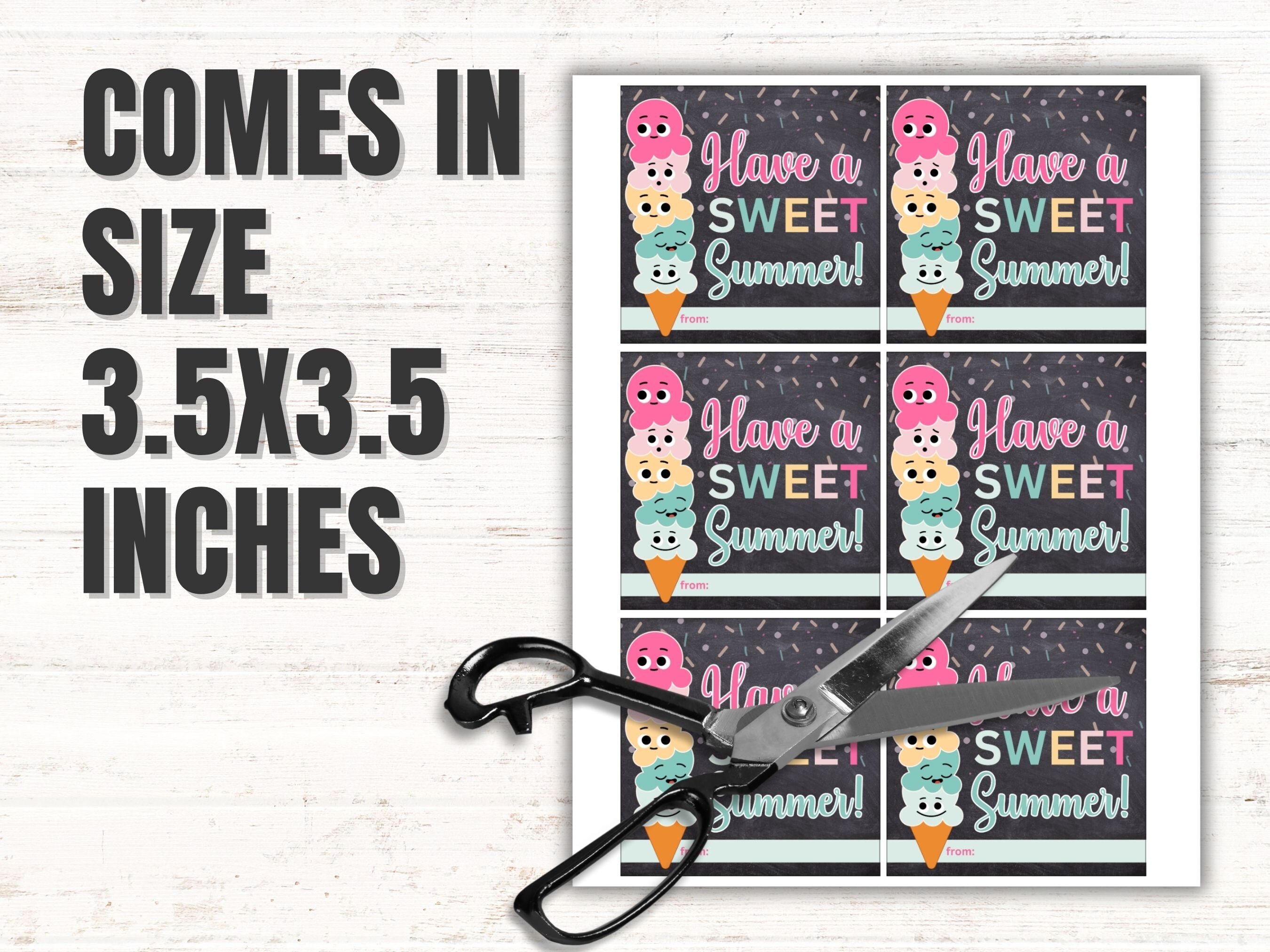 Have A Sweet Summer Tag End of Year Student Gift Ice Cream Kids ...