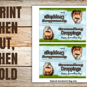 Groundhog Day Bag Toppers Printable, Funny Treat Bag Toppers for ...