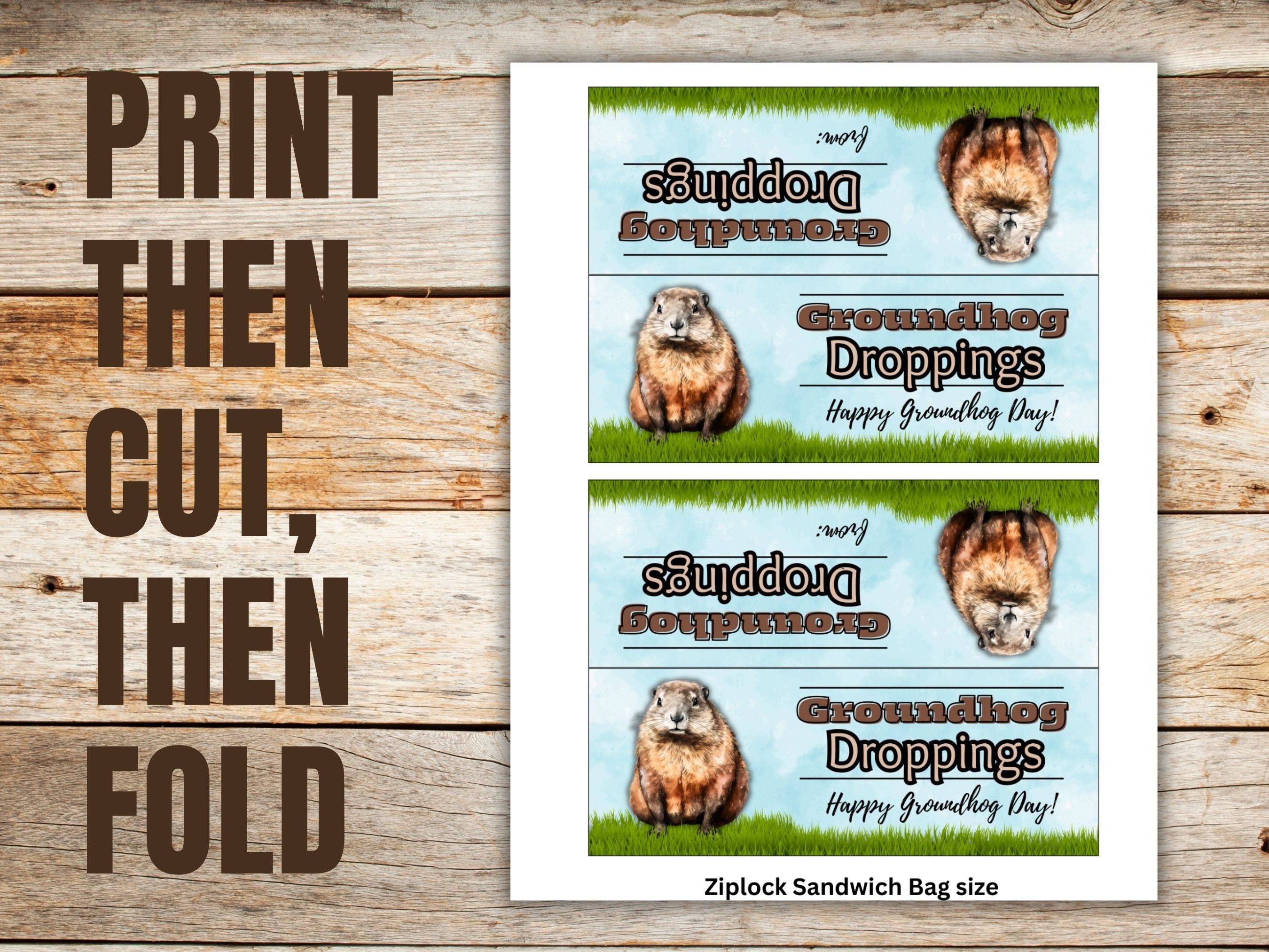 Groundhog Day Bag Toppers Printable, Funny Treat Bag Toppers for ...