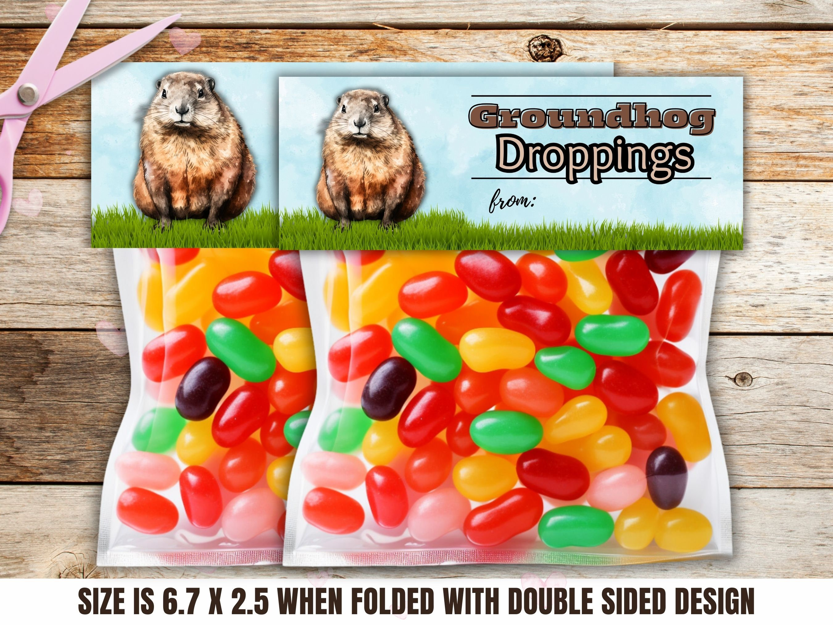 Groundhog Day Bag Toppers Printable, Funny Treat Bag Toppers for ...
