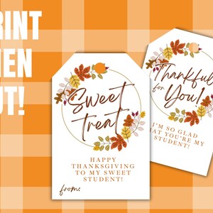 Printable Thankful Notes for Students, Thanksgiving Student Gift Tag ...