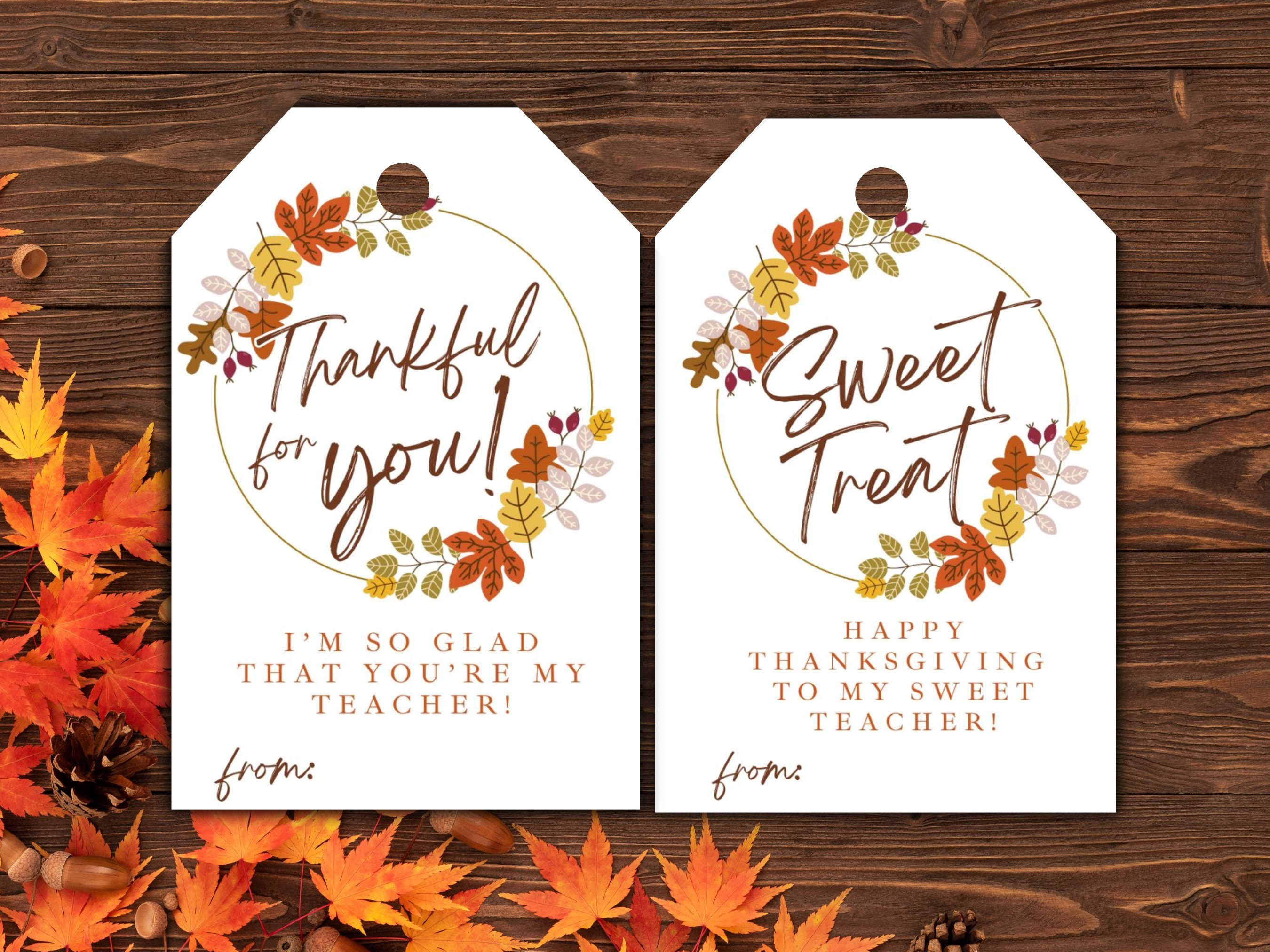 Printable Thankful Notes for Teachers, Thank You Teacher Gift Tag ...