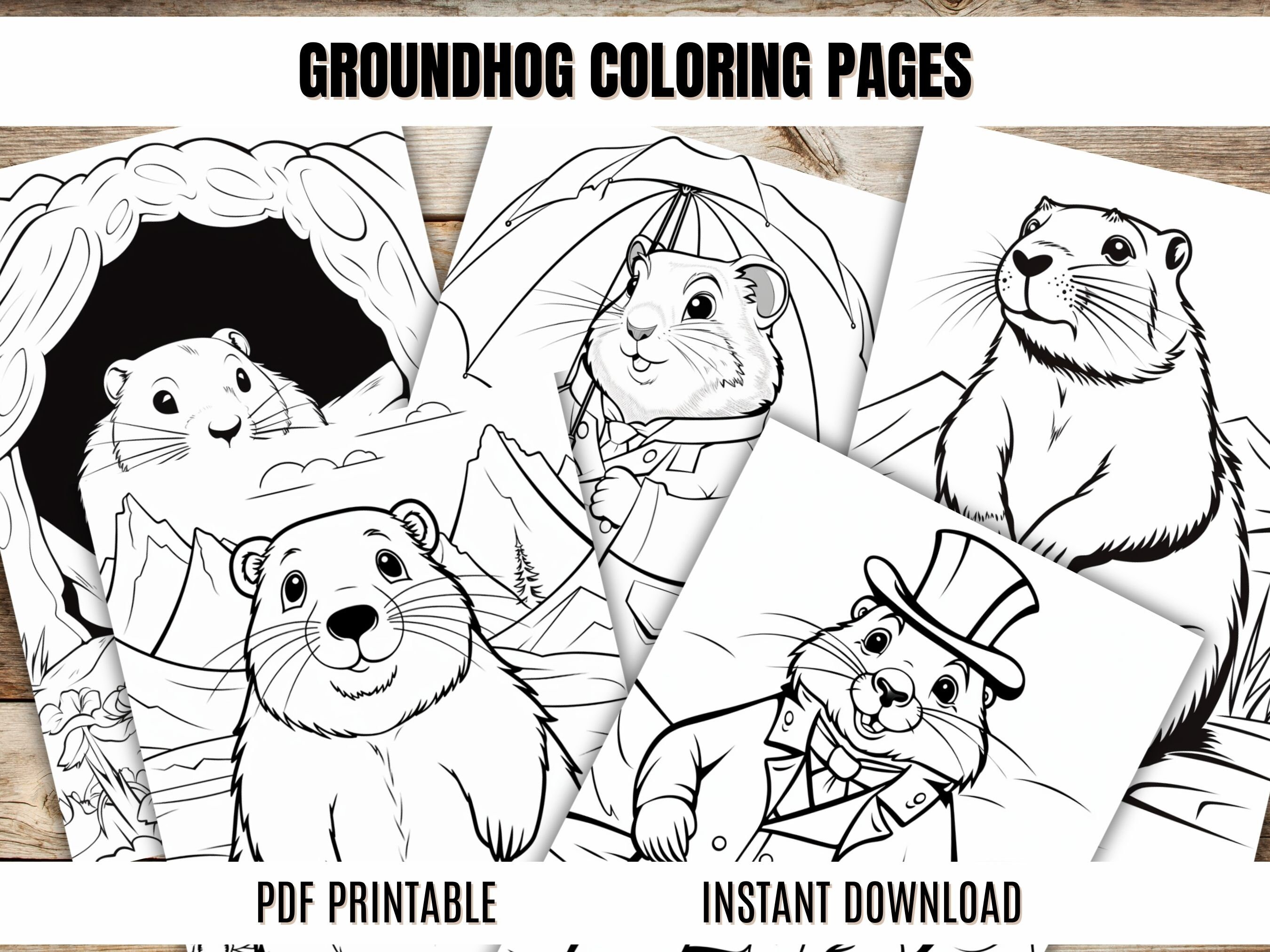 Printable Groundhog Day Coloring Pages, Kids Groundhog Coloring Sheets ...