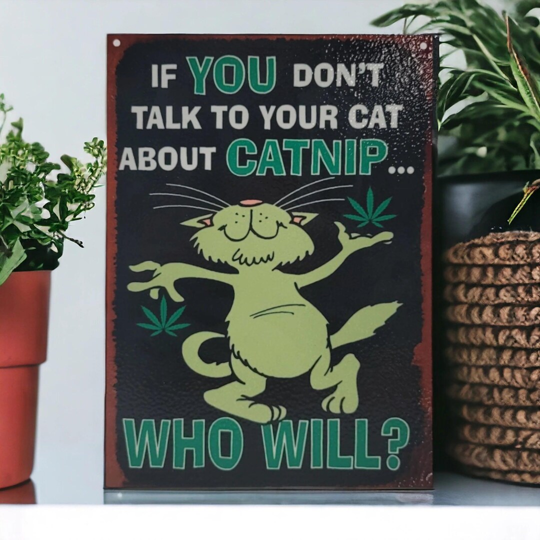 Cat Sign Talk to Your Cat About Catnip - Cat Lover Gift - Etsy