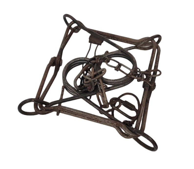 Antique Conibear Trap Hunting Trap - Etsy