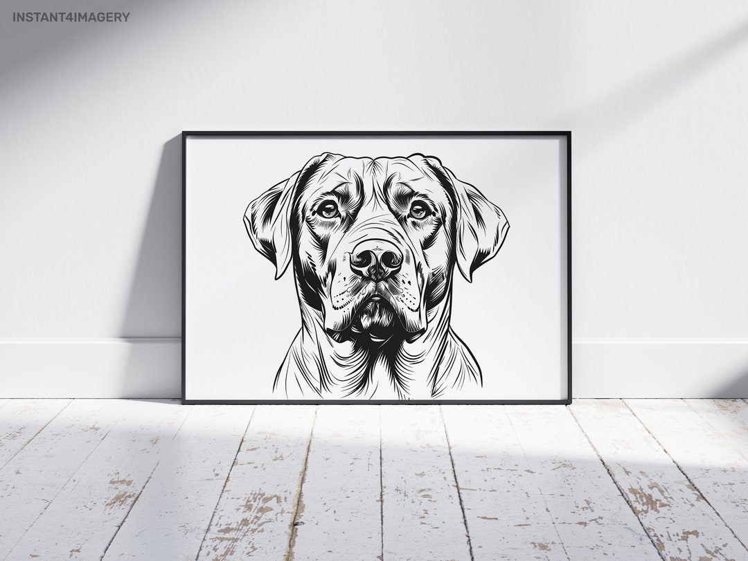 Dog Face Line Drawing Dog Face Drawings Dog Face Art Rhodesian ...