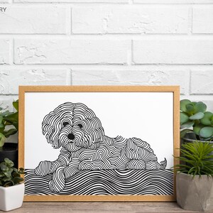 Bichon Frise Line Drawing Canary Island Lap Dog Line Art Tenerife Dog ...