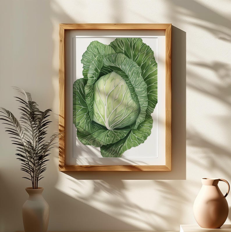 Green Cabbage Art Print, Realistic Vegetable Illustration, Botanical ...