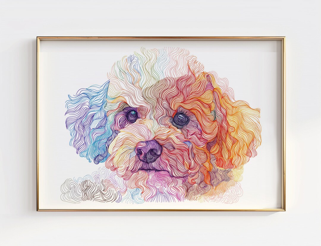 Bichon Frise Line Drawing Canary Island Lap Dog Art Bichon Tenerife ...