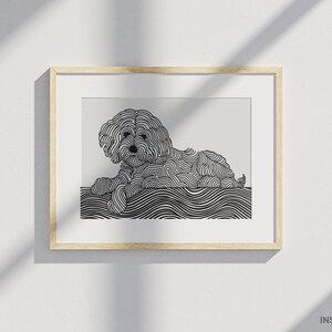 Bichon Frise Line Drawing Canary Island Lap Dog Line Art Tenerife Dog ...