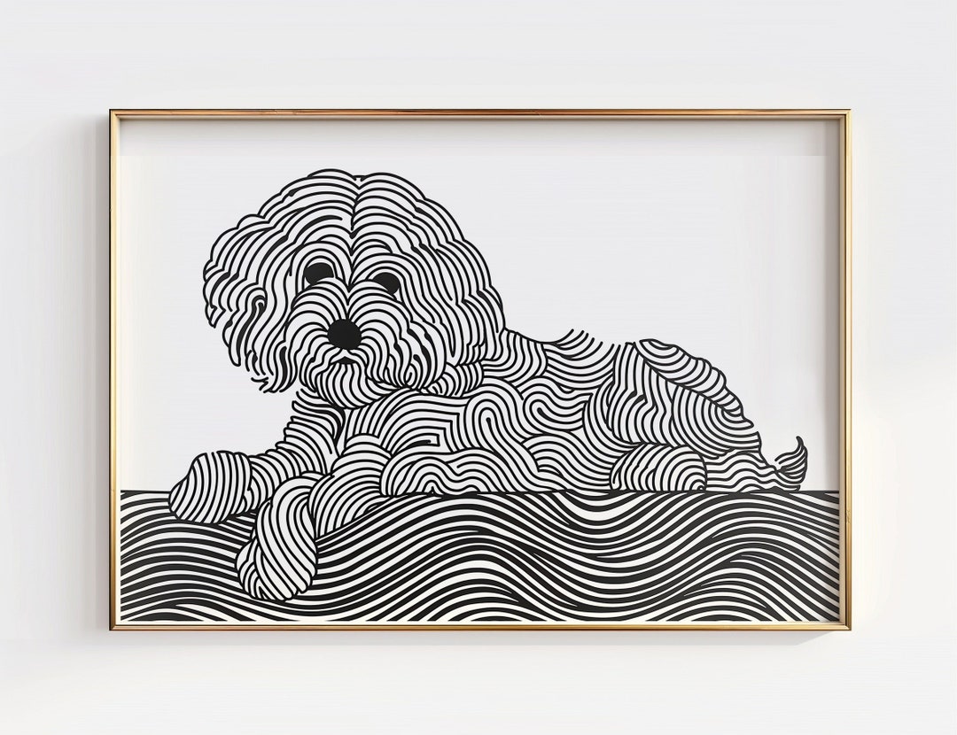 Bichon Frise Line Drawing Canary Island Lap Dog Line Art Tenerife Dog ...