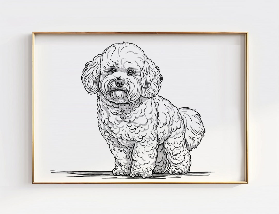 Bichon Frise Art Bichon Art Bichon Frise Artwork Bichon Frise Line ...