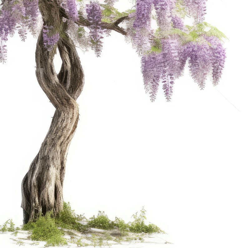Wisteria Tree Wall Art | Digital Printable Botanical Art | Downloadable ...