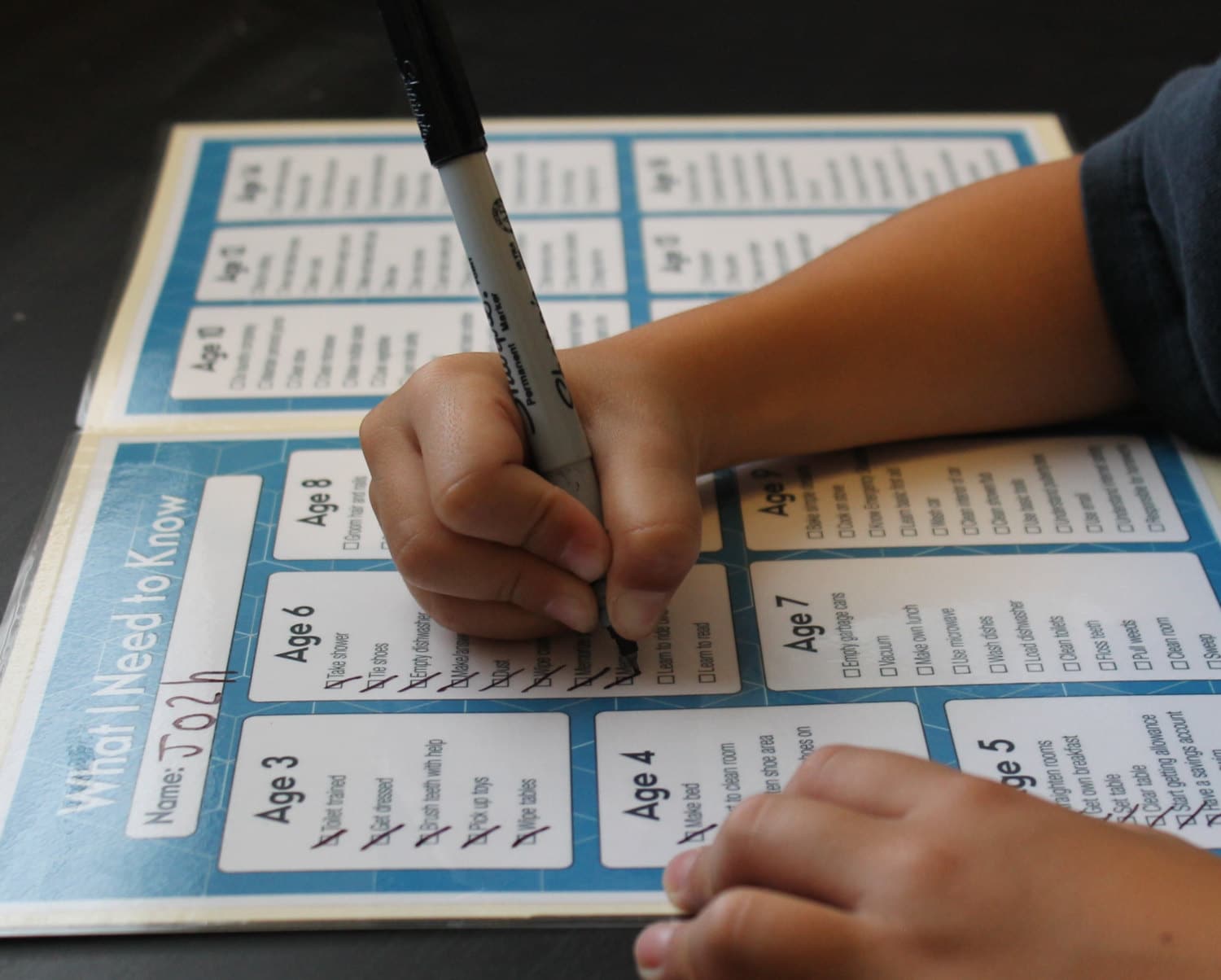 What I Need to Know Chart - Blue Polka Dots - Etsy