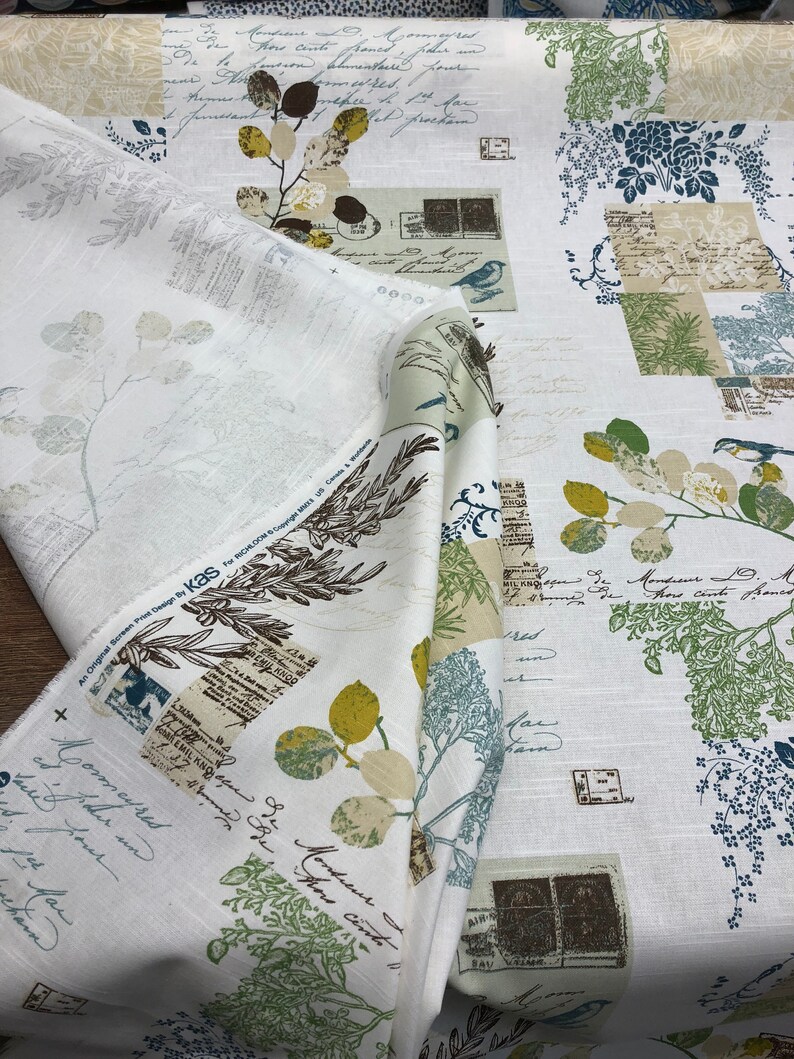 Richloom Brigitte Sky Blue French Script Paris Floral Fabric - Etsy