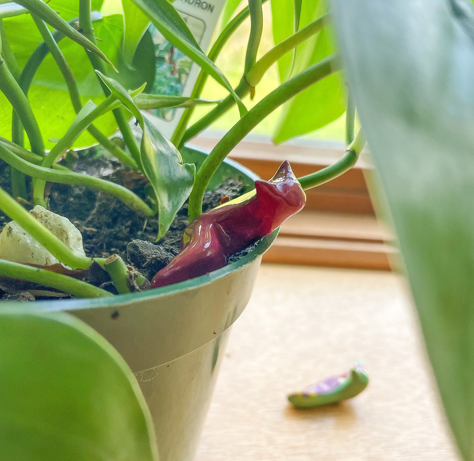 SET OF 3 Ceramic Slugs Plant Buddies Handmade Pack of 3 - Etsy