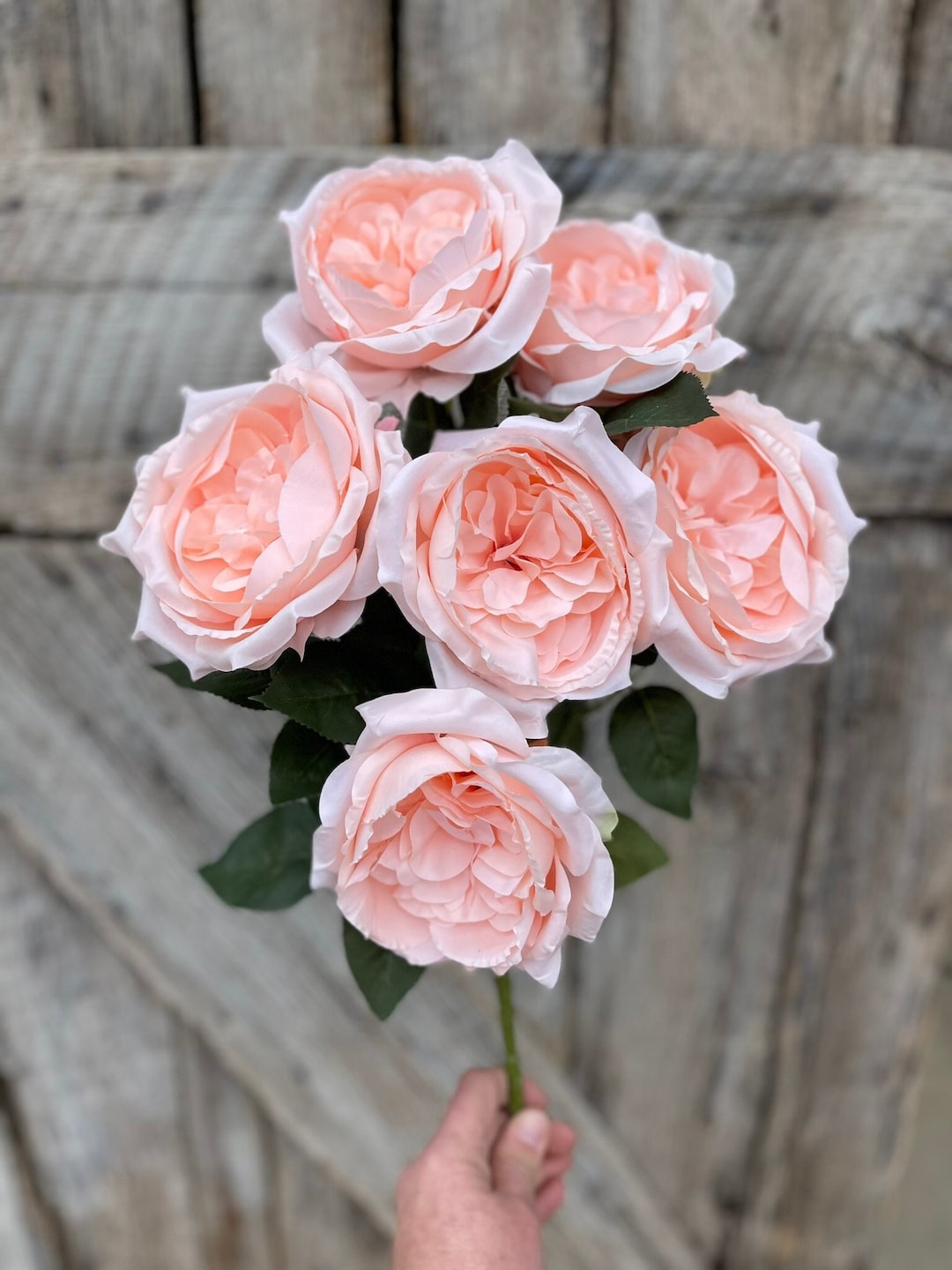 19" Blush English Garden Rose, Artificial Rose Bush, Rose Bush, Floral ...