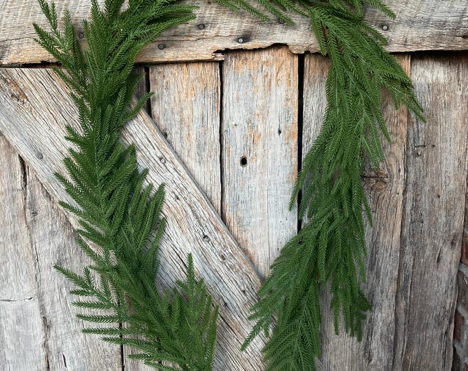 6' Norfolk Real Touch Garland, Pine Greenery, Artificial Christmas ...