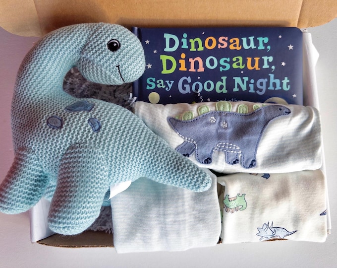 Dinosaur Baby Boy Gift Box: Bodysuit, Pants, Baby Book and Plush Toy - Etsy