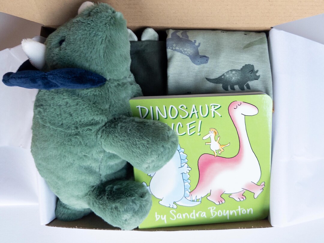 Dinosaur Baby Gift Set: 3-piece Outfit, Book, and Dinosaur Plush - Etsy