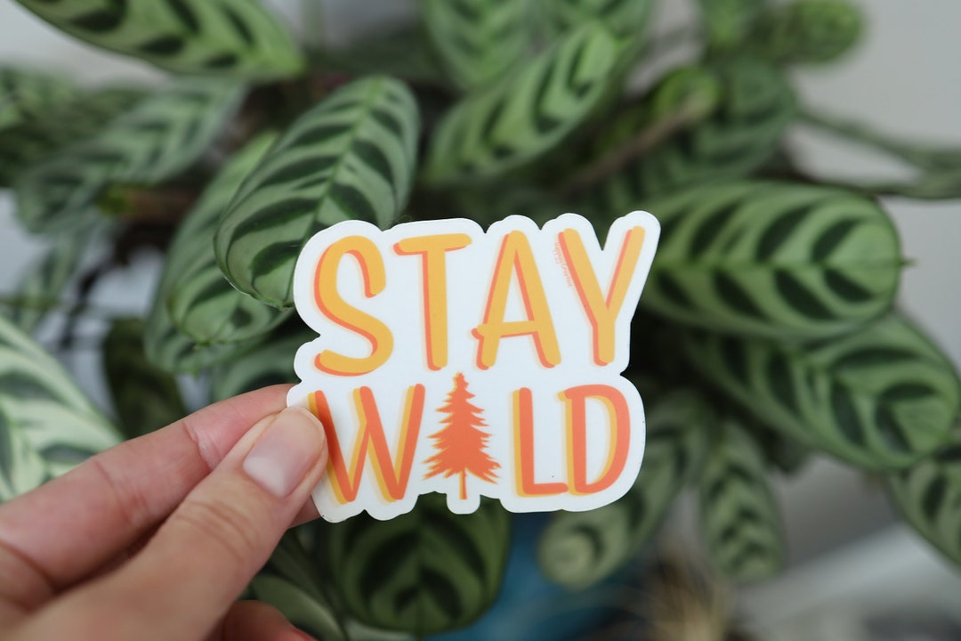 Stay Wild Sticker | Adventure Sticker, Hiking Sticker, Outdoor Sticker ...