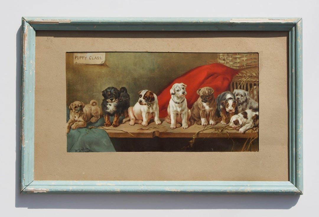 Antique 1890s William Henry Hamilton Trood Chromolithograph Dog Show ...