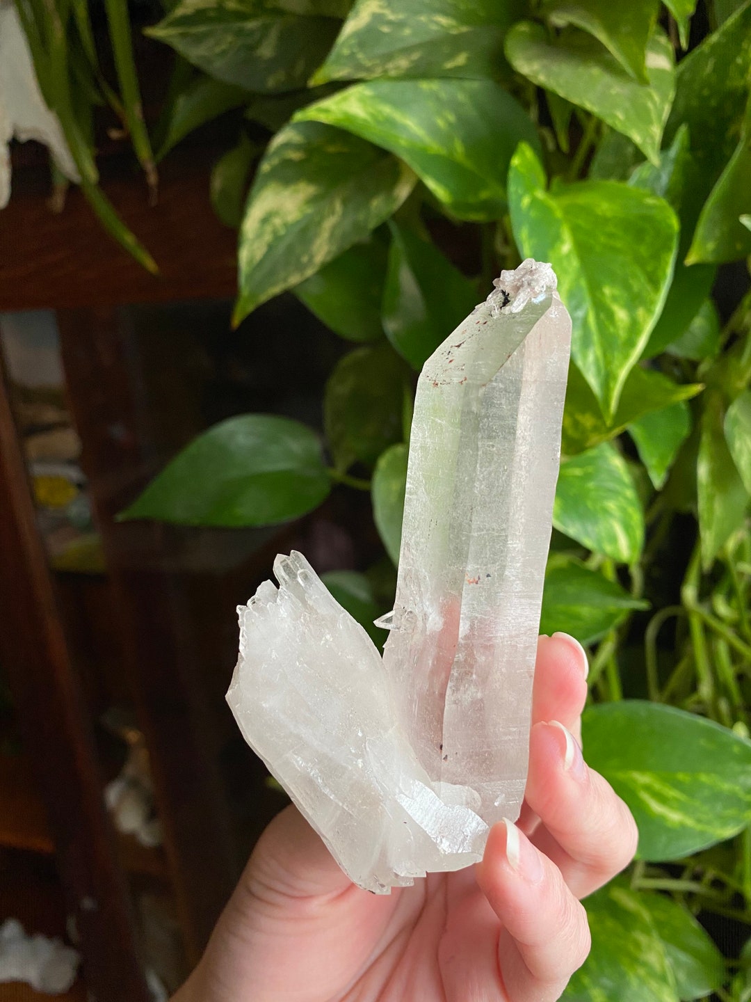 Himalayan Quartz Cluster - Etsy