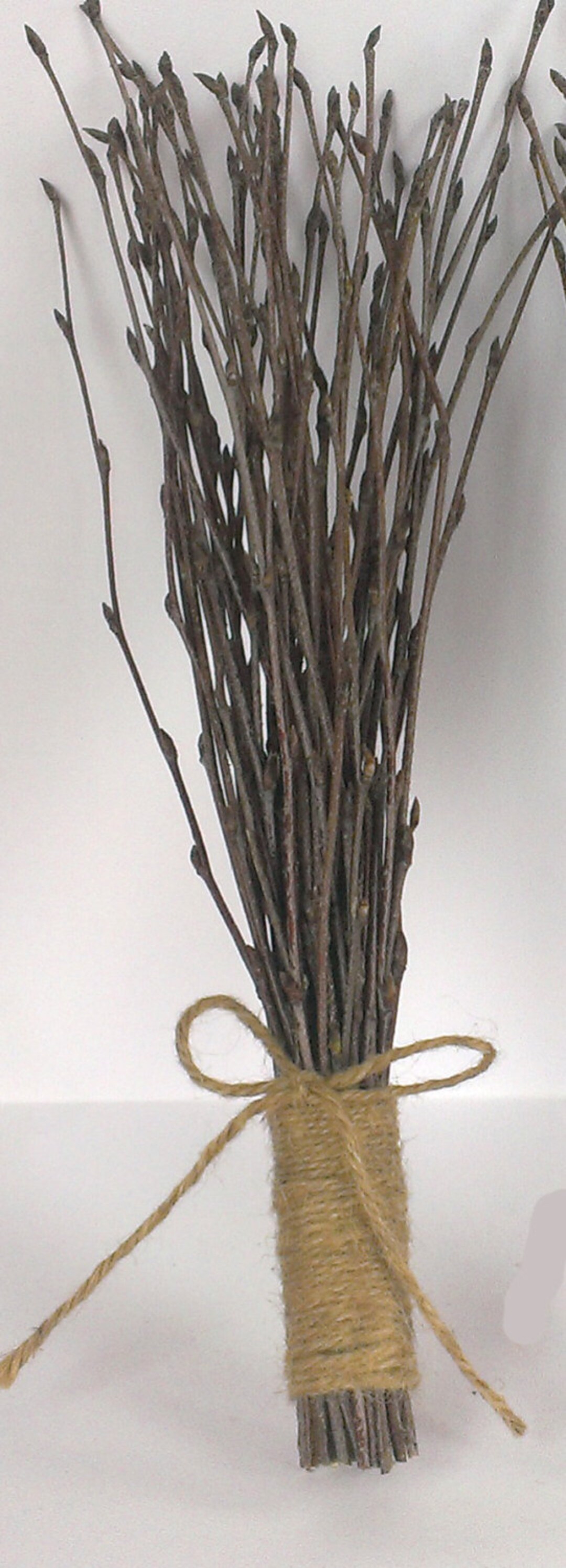 Bundle of Birch Twigs 50 Pc, Birch Bark Wedding Decor, Birch Tree ...