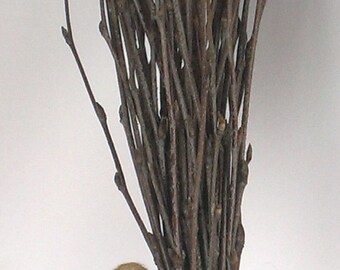 Bundle of Birch Twigs 50 Pc, Birch Bark Wedding Decor, Birch Tree ...