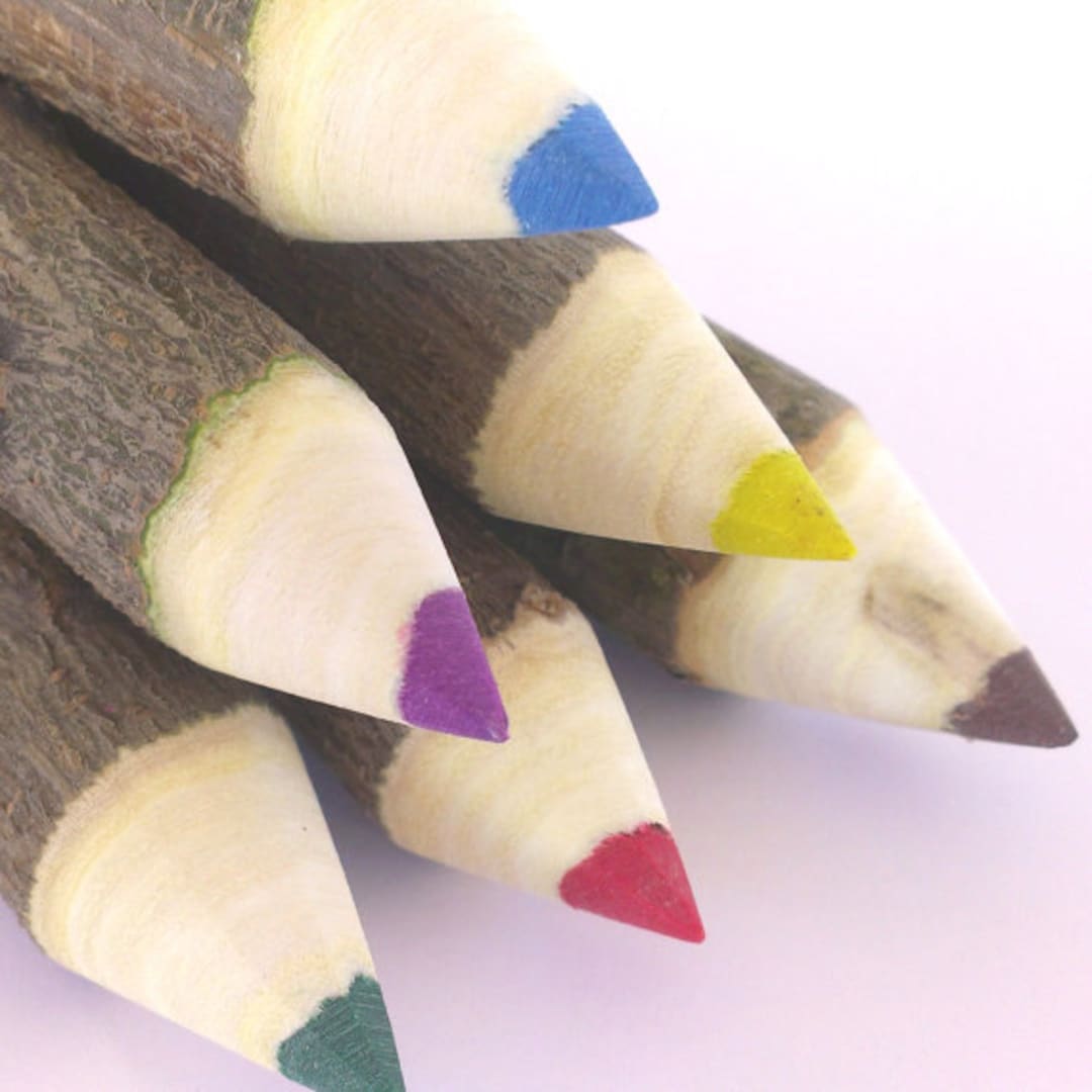 6 Colors Twig Pencils, Wedding Activities, Children Activity, Children ...